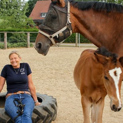 Was Pferde in unseren Gesichtern sehen - AKA | Andrea Kutsch Akademie
